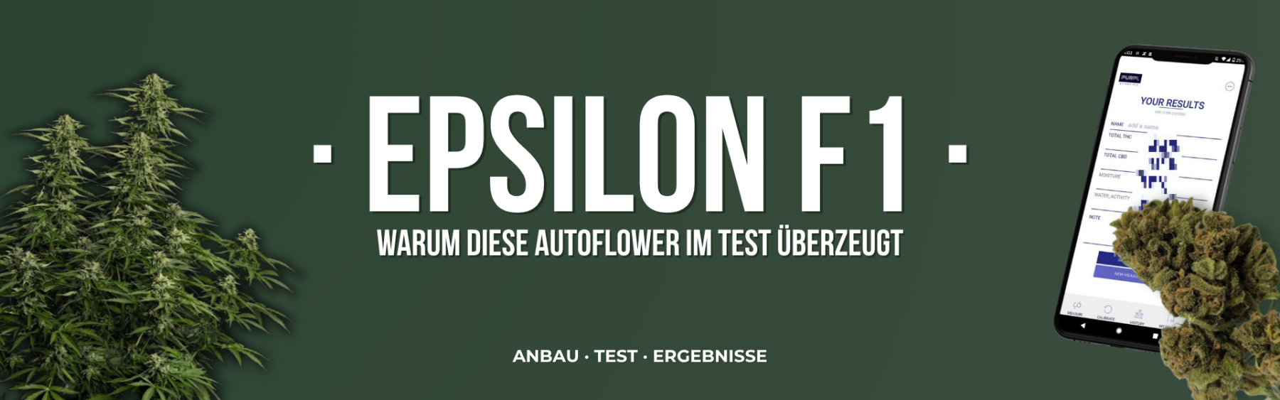 Epsilon F1 Review – Wirkung, Genetik & THC-Gehalt im Test